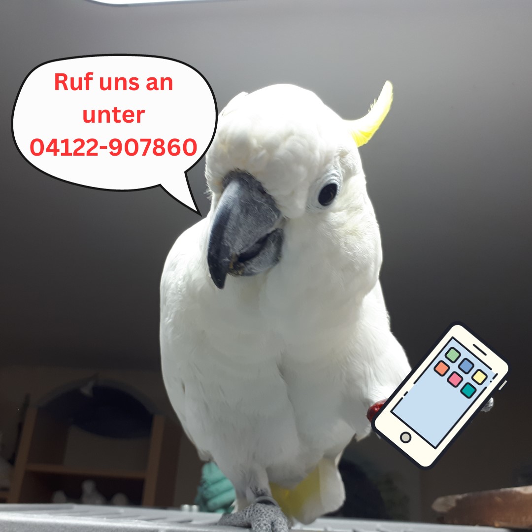 Tinas kleiner Vogelpark - Infos zur Papageienhaltung - Start ...